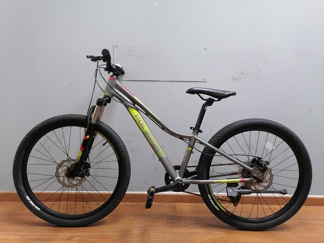 Polygon Relic 24, excellent condition, fully serviced, Sports Equipment ...