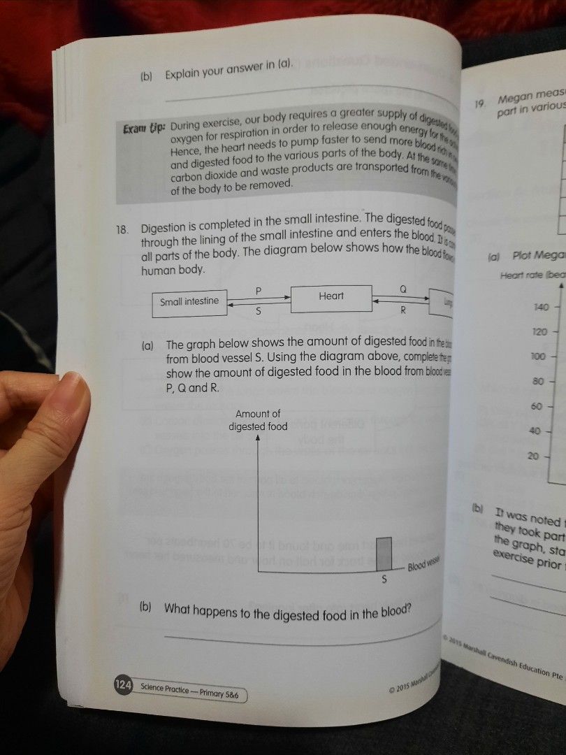PSLE Science Practice Primary 5 6 P5 P6, Hobbies & Toys, Books & Magazines, Assessment Books on ...
