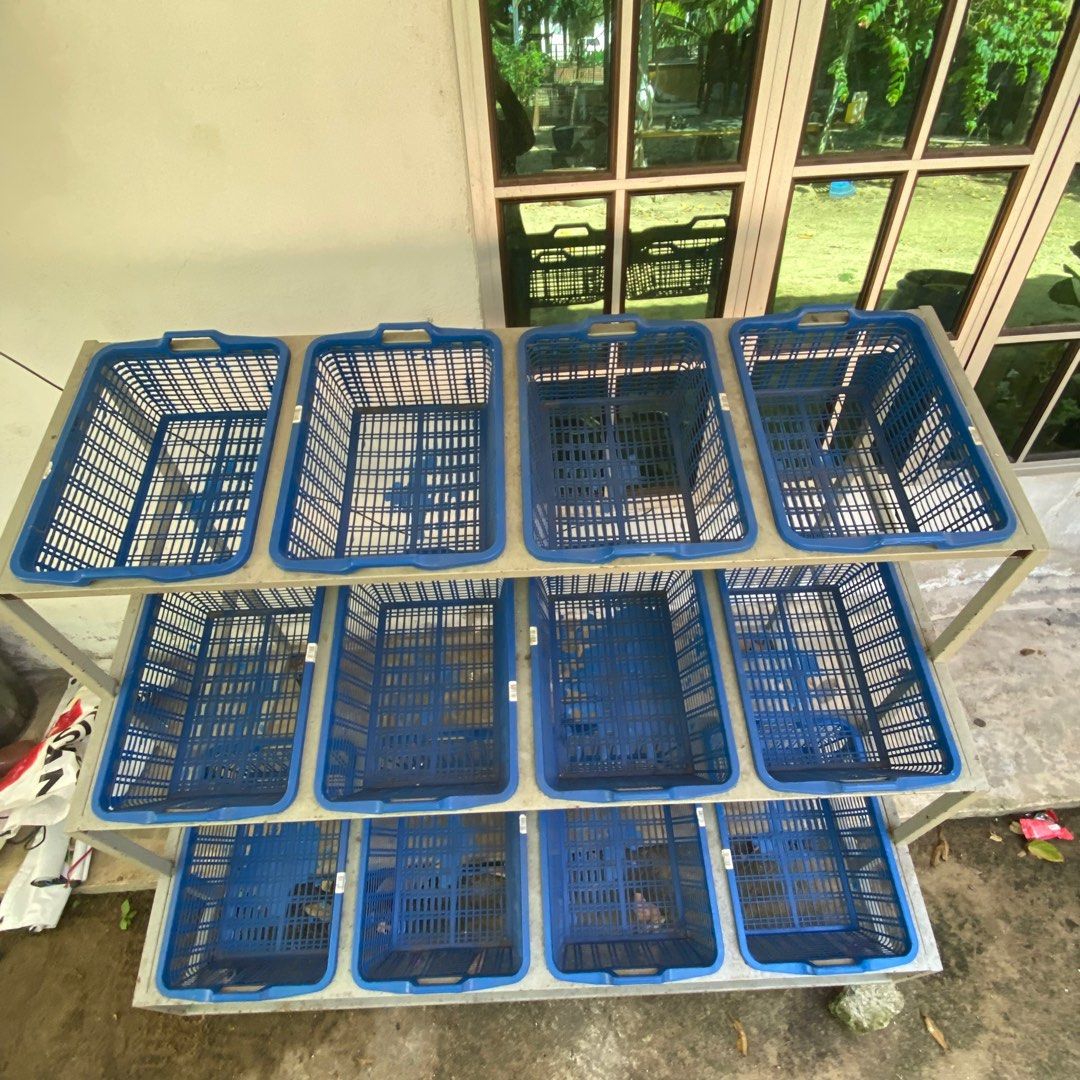 Rak serbaguna/ rak kerepek/ rak barang masak kering kedai runcit ...