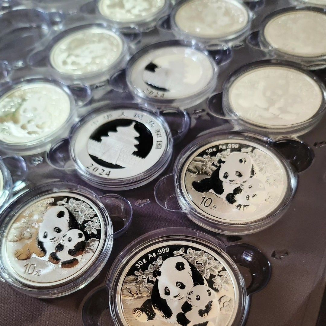2024 China Panda 30g Silver coin, Hobbies & Toys, Collectibles ...