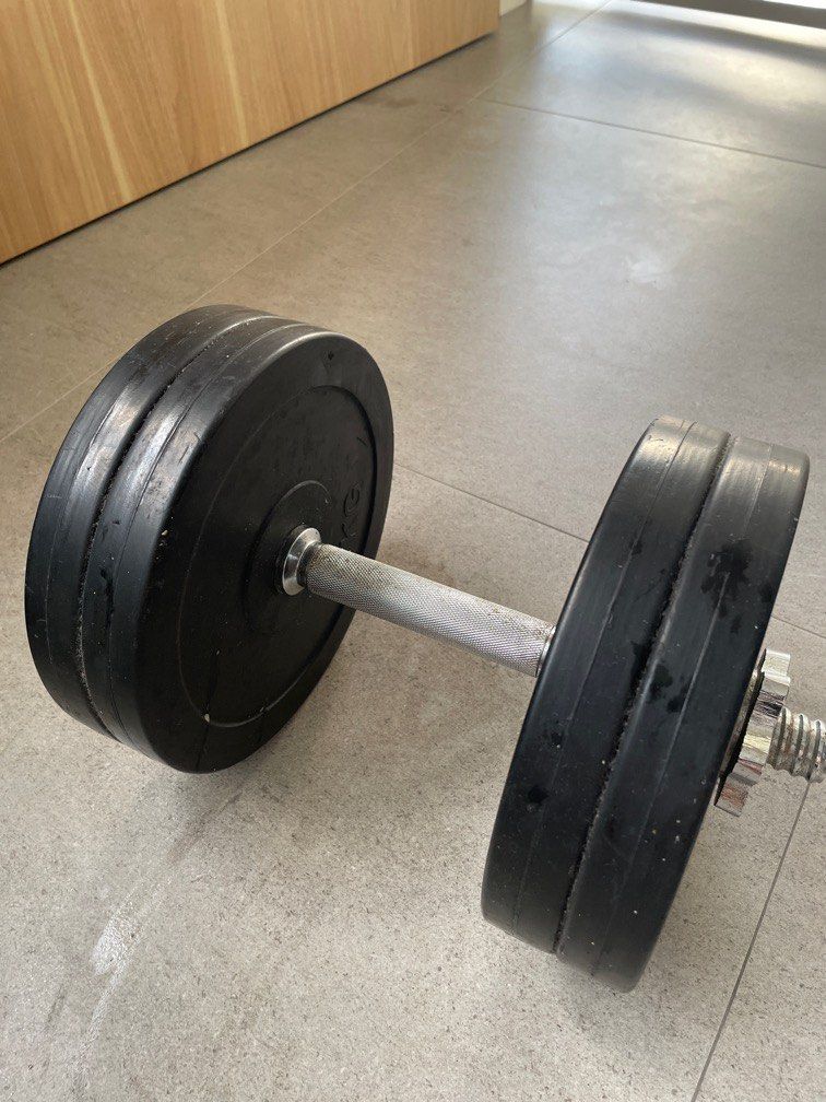 22kg dumbbell, Sports Equipment, Exercise & Fitness, Weights ...