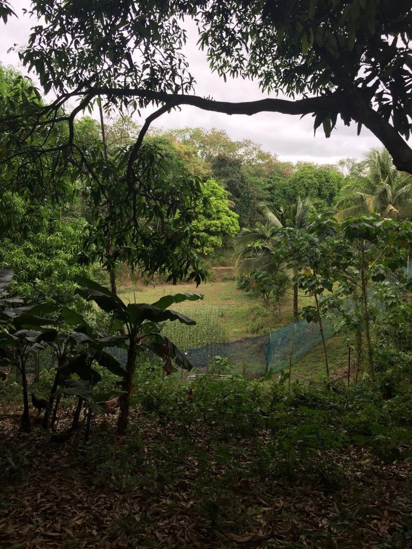 6,565 sqms on each lot Located in Tigbe Norzagaray Bulacan Php2500 per sqms, Property, For Sale ...