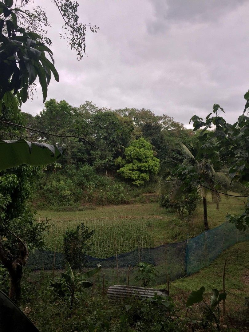 6,565 sqms on each lot Located in Tigbe Norzagaray Bulacan Php2500 per ...