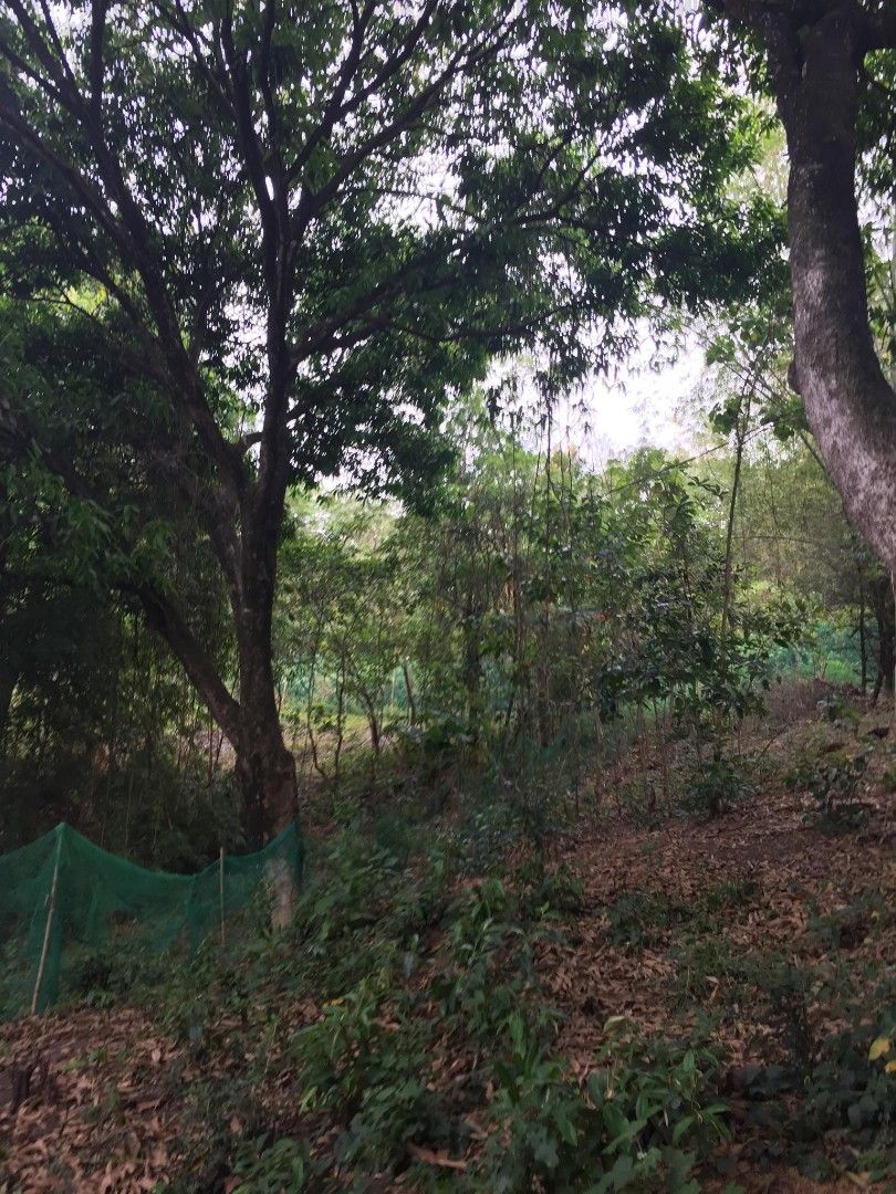 6,565 sqms on each lot Located in Tigbe Norzagaray Bulacan Php2500 per ...