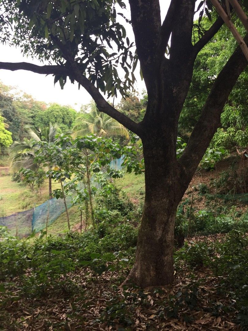 6,565 sqms on each lot Located in Tigbe Norzagaray Bulacan Php2500 per ...