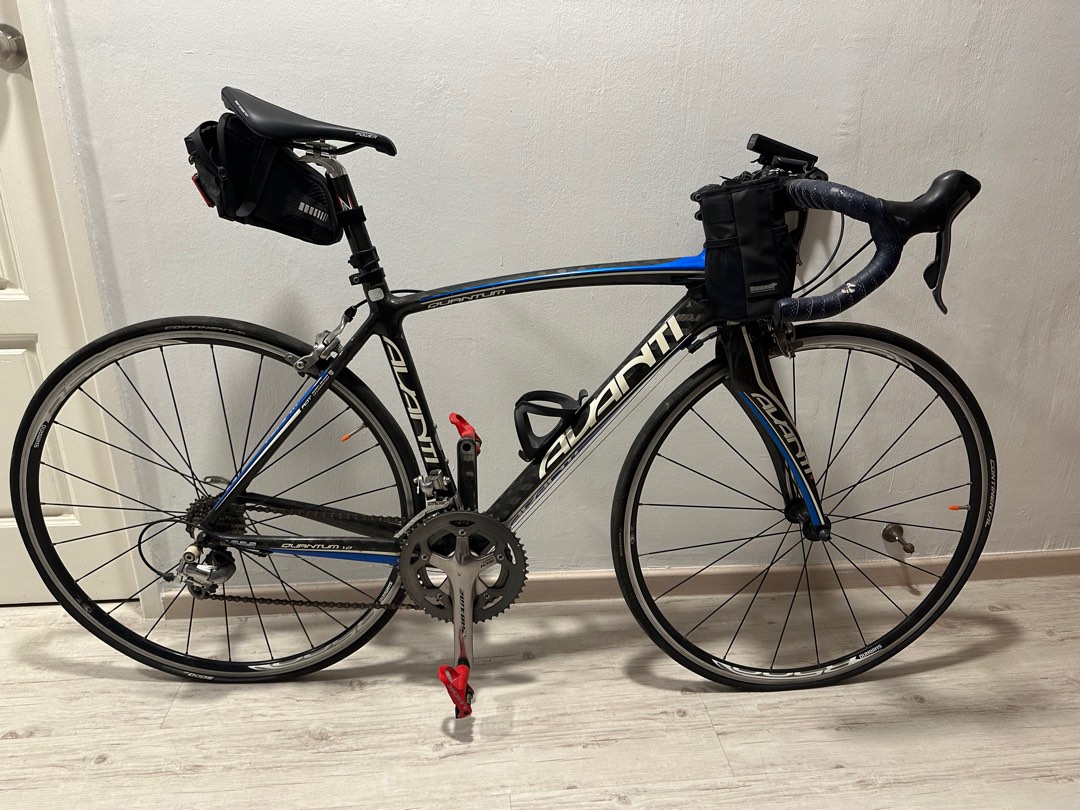 Avanti Quantum 1.0 Carbon Frame, Sports Equipment, Bicycles & Parts ...