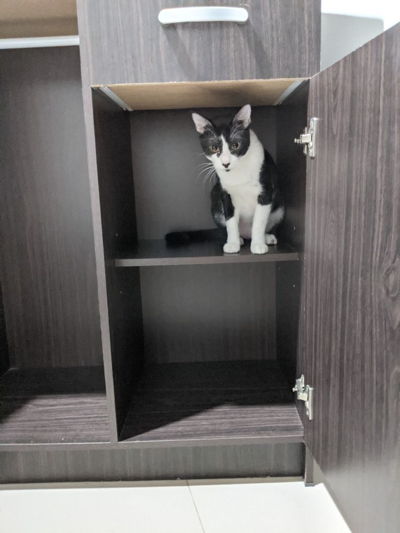 CASA PINOY 2 Doors & 1 Drawer Closet Children's Wardrobe Cabinet TH 30A ...