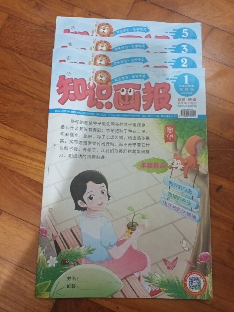Chinese magazines, Hobbies & Toys, Books & Magazines, Magazines on ...