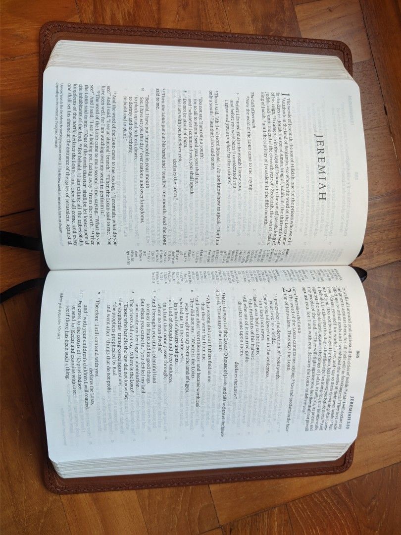 ESV Personal Reference Bible in Premium Goatskin, Hobbies & Toys, Books ...