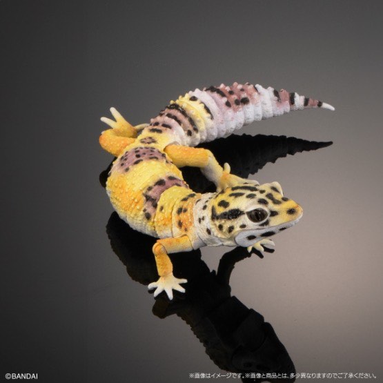 MISB Gashapon Lizard bandai capsule, Hobbies & Toys, Toys & Games on ...