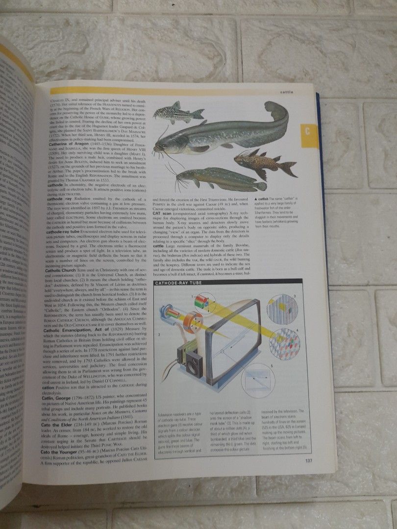Philips World Encyclopedia, Hobbies & Toys, Books & Magazines, Children ...
