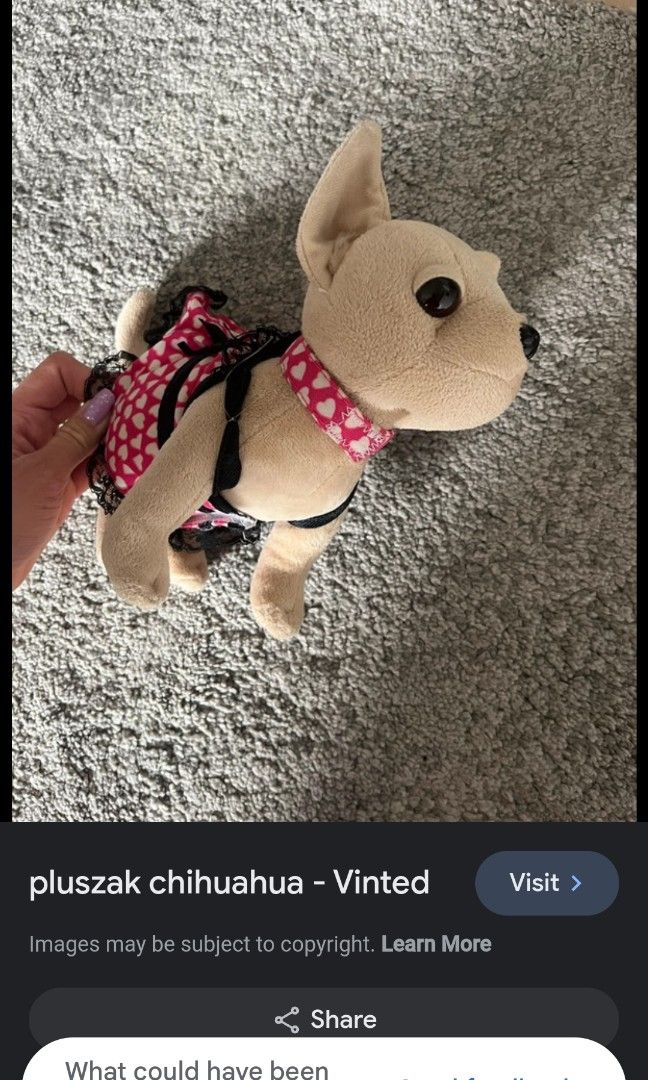 REALISTIC RARE CHI CHI LOVE PARIS CHIHUAHUA DOG PLUSH ANIMAL IN ...