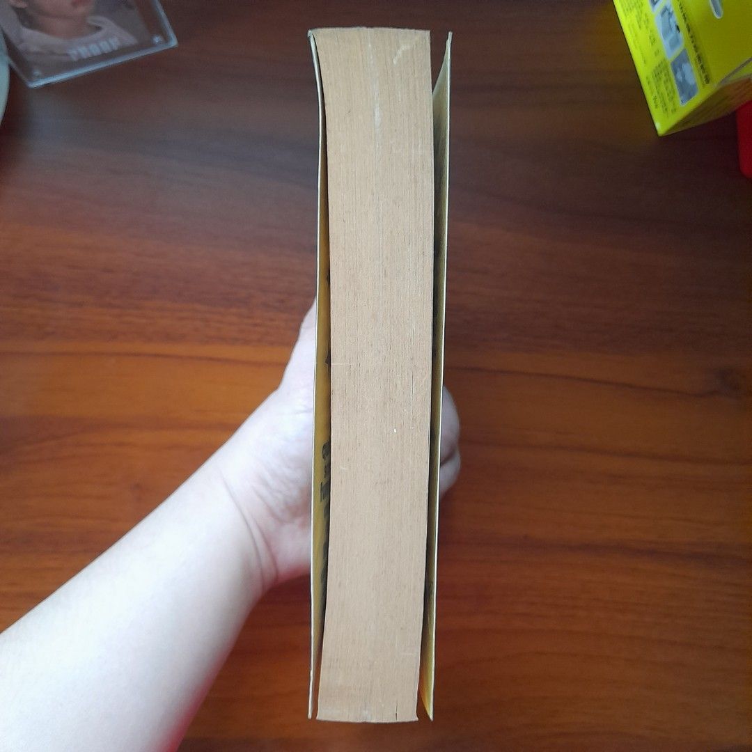 Ribblestrop - Andy Mulligan, Hobbies & Toys, Books & Magazines, Fiction ...