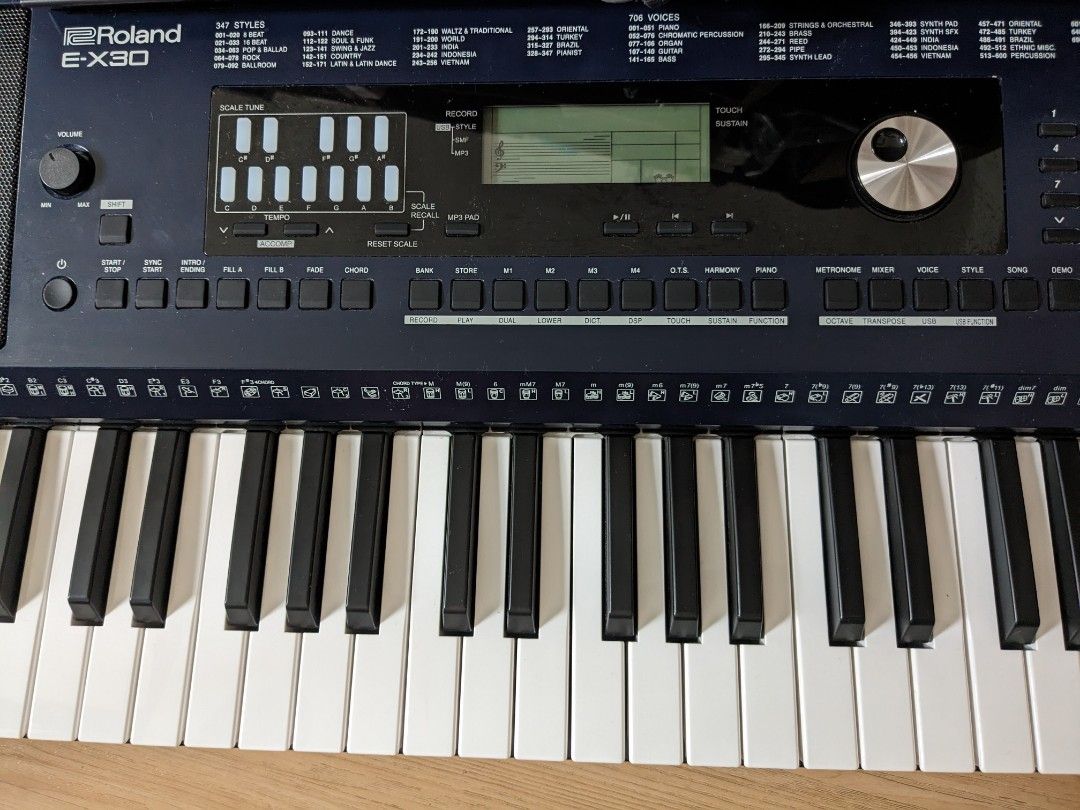 Roland E-X30 Keyboard, Hobbies & Toys, Music & Media, Musical ...