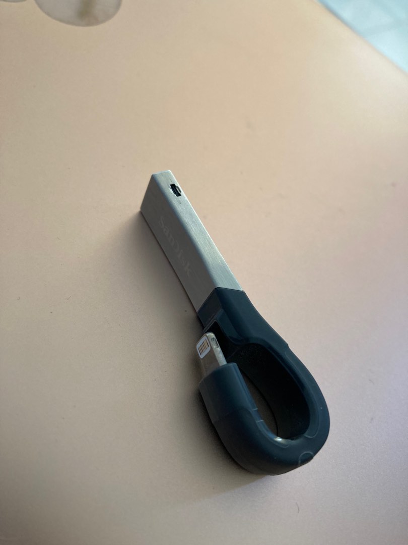 Sandisk Lightning OTG 256GB, Computers & Tech, Parts & Accessories ...