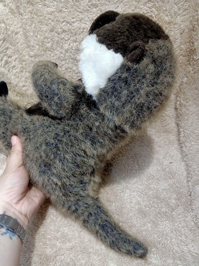SUPER LARGE REALISTIC OTTER / SEA OTTER PLUSH TOY, Hobbies & Toys, Toys ...