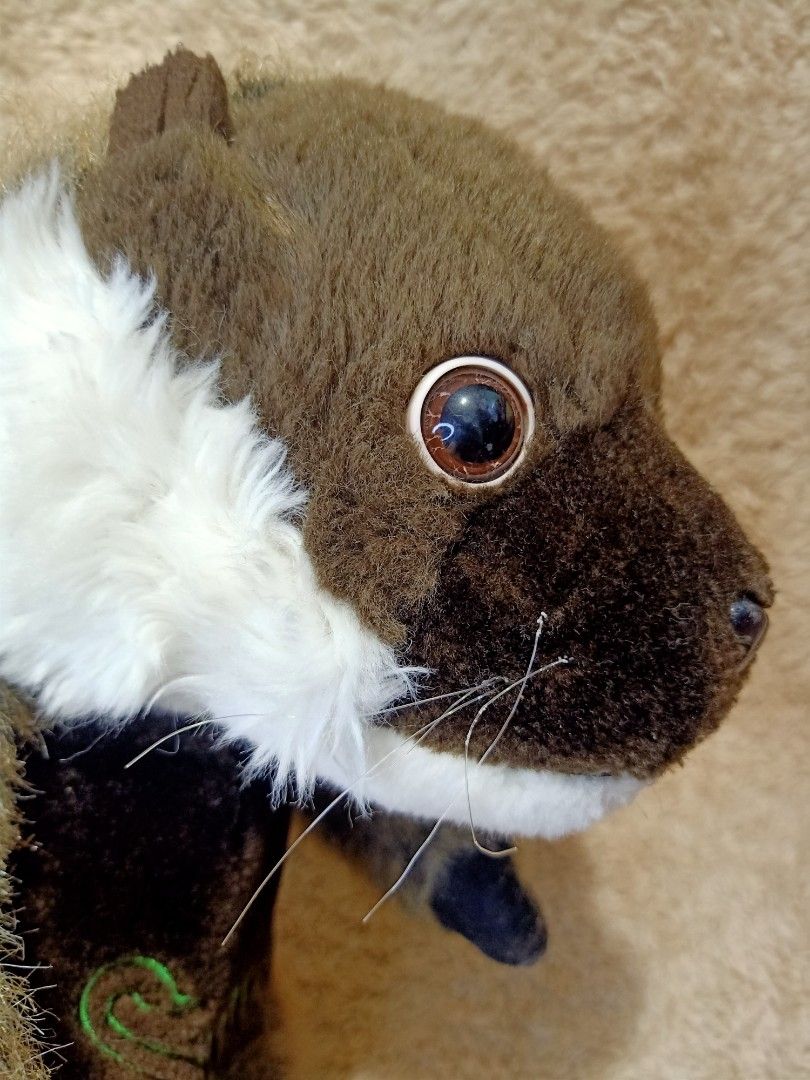 SUPER LARGE REALISTIC OTTER / SEA OTTER PLUSH TOY, Hobbies & Toys, Toys ...