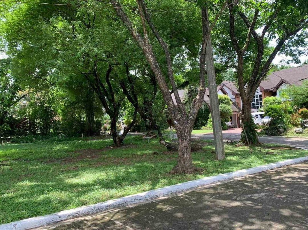 Corner Lot for SALE in Country Villas Subdivision, Quezon City ...