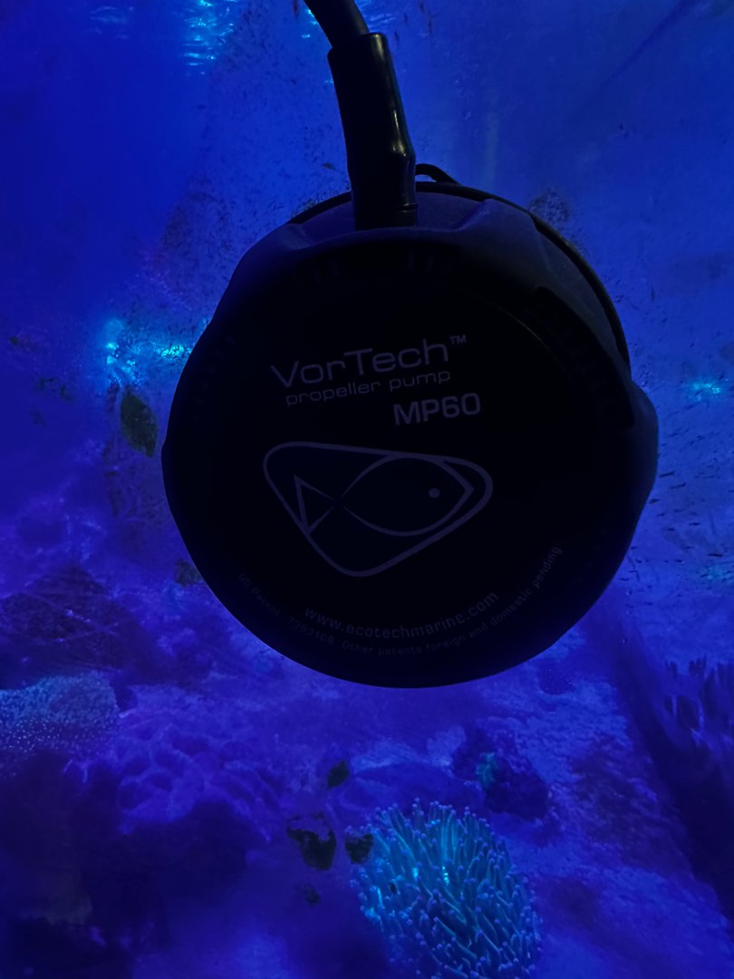 Ecotech Marine Pump MP60, Pet Supplies, Homes & Other Pet Accessories ...