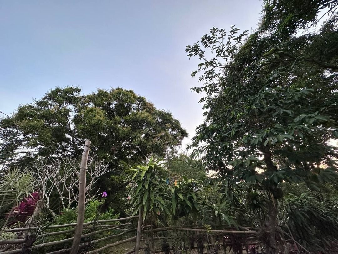 FOR SALE: 10 Hectares Land in San Luis II, Guinayangan, Quezon ...