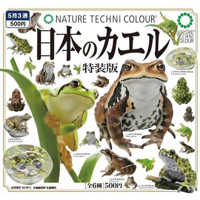 全新 奇譚 Nature Techni Colour 日本 青蛙 兩棲類 特裝版 一套6隻, 興趣及遊戲, 玩具 & 遊戲類 - Carousell