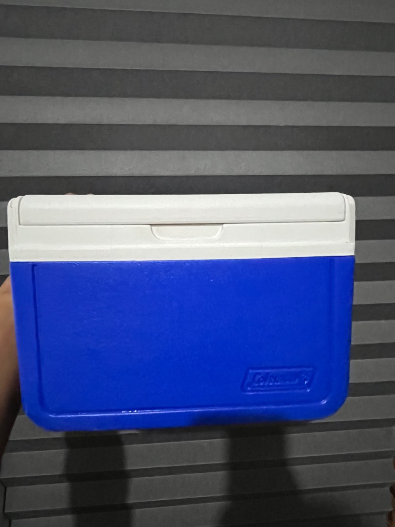 Coleman Mini Ice Cooler, Everything Else, Others on Carousell