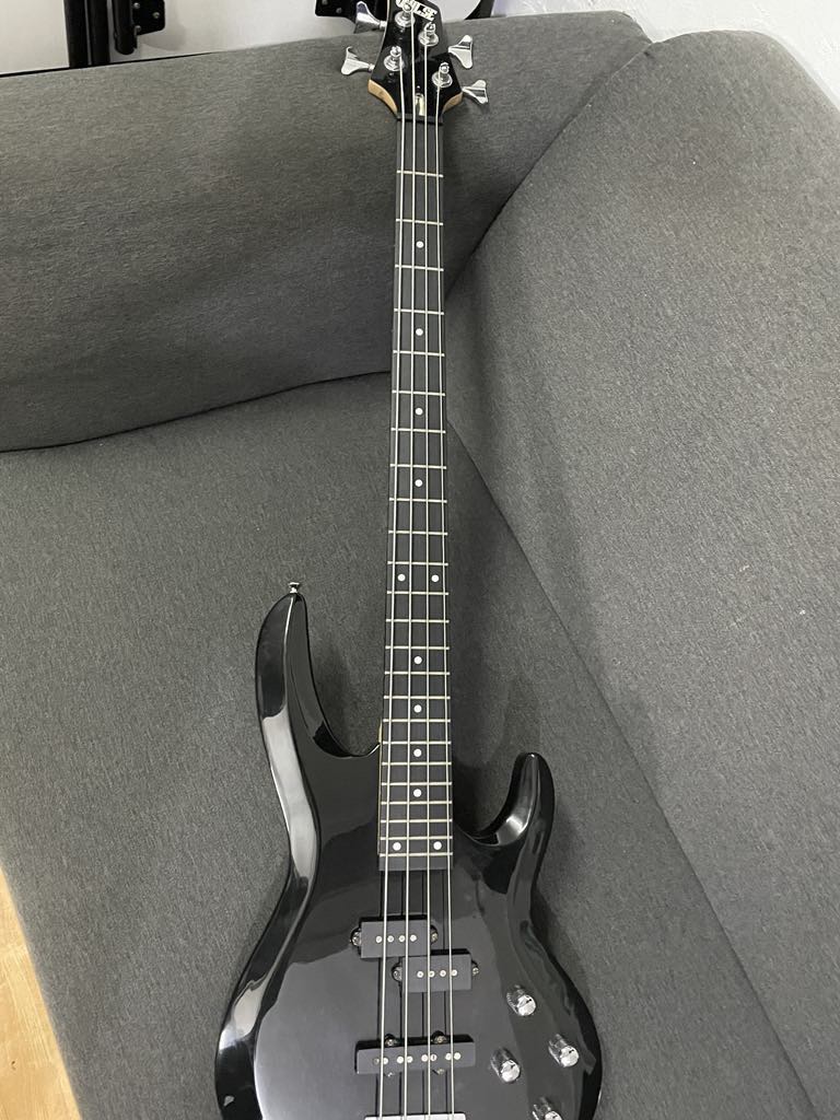 PULSE 4-STRING BASS GUITAR, Hobbies & Toys, Music & Media, Musical ...