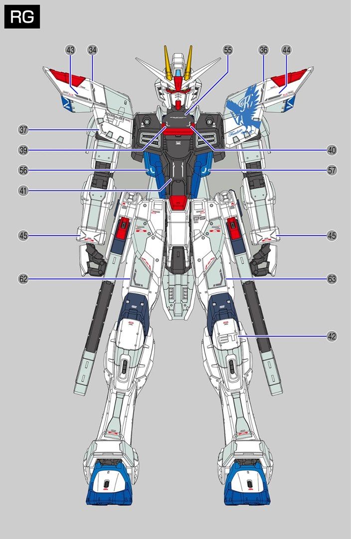 [Evo] RG Freedom (Ver GCP 3 Year Anniversary Design) Gundam Waterslide ...