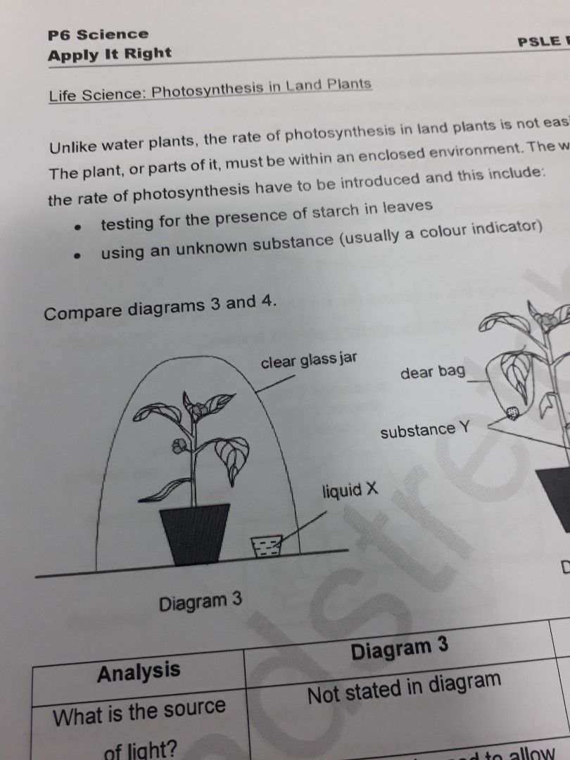 Mindstretcher P6 PSLE Math Science Notes Worksheets, Hobbies & Toys ...