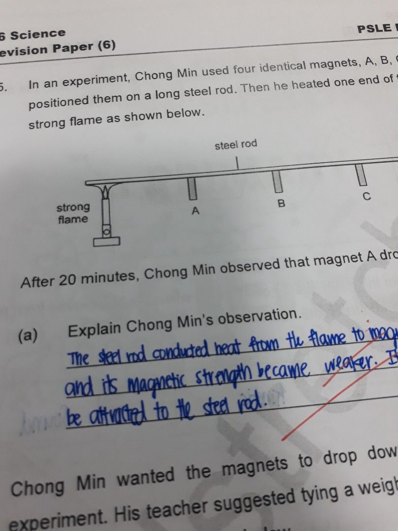 Mindstretcher MS P6 PSLE Math Science Notes Worksheets (Not TLL ...