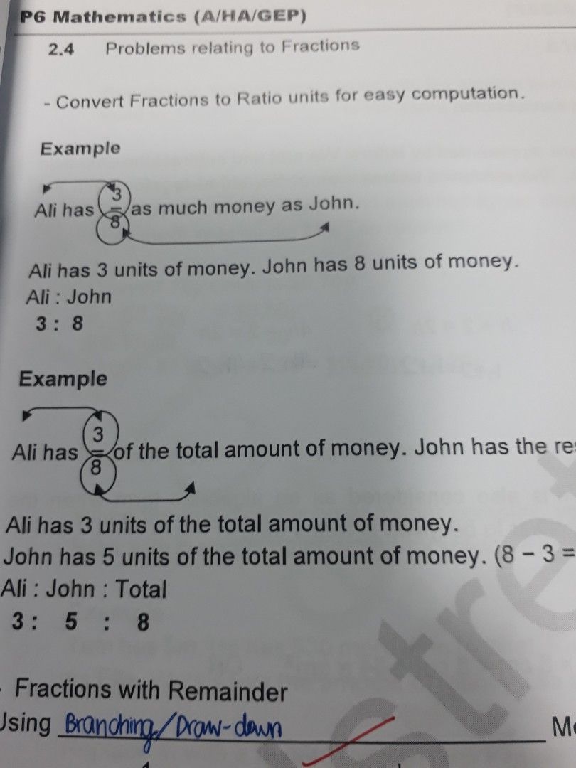 Mindstretcher P6 PSLE Math Science Notes Worksheets, Hobbies & Toys ...