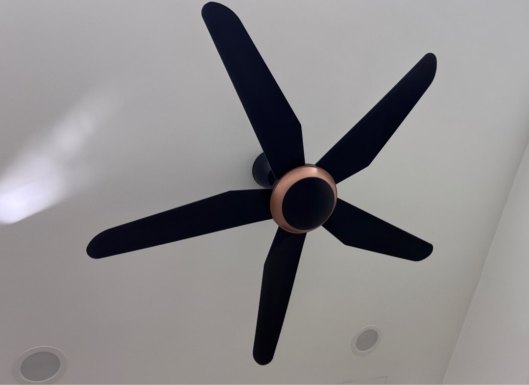 Deka Celling Fan Crystal 56-5BX, Furniture & Home Living, Lighting ...