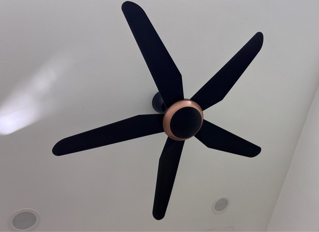 Deka Celling Fan Crystal 56-5BX, Furniture & Home Living, Lighting ...