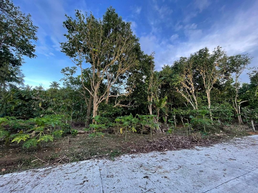 5400sqm. Lanzones Farm Lot For Sale Indang Cavite, Property, For Sale ...