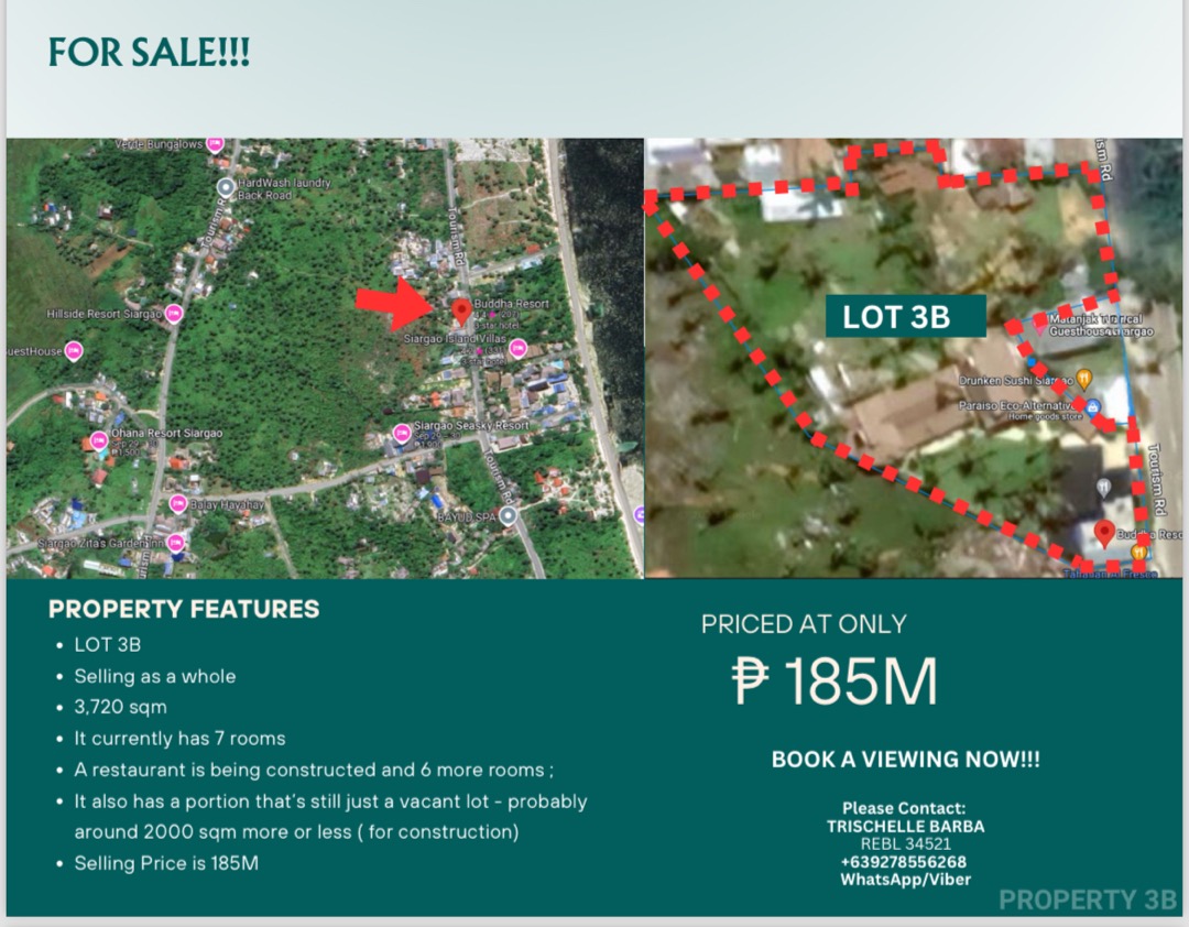 Ready Resort with great potential for expansion in Siargao, Property ...