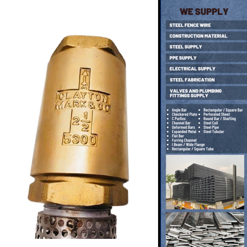 2 1/2" Clayton Foot Valve / Brass Foot Valve with Strainer / Gate Valve ...
