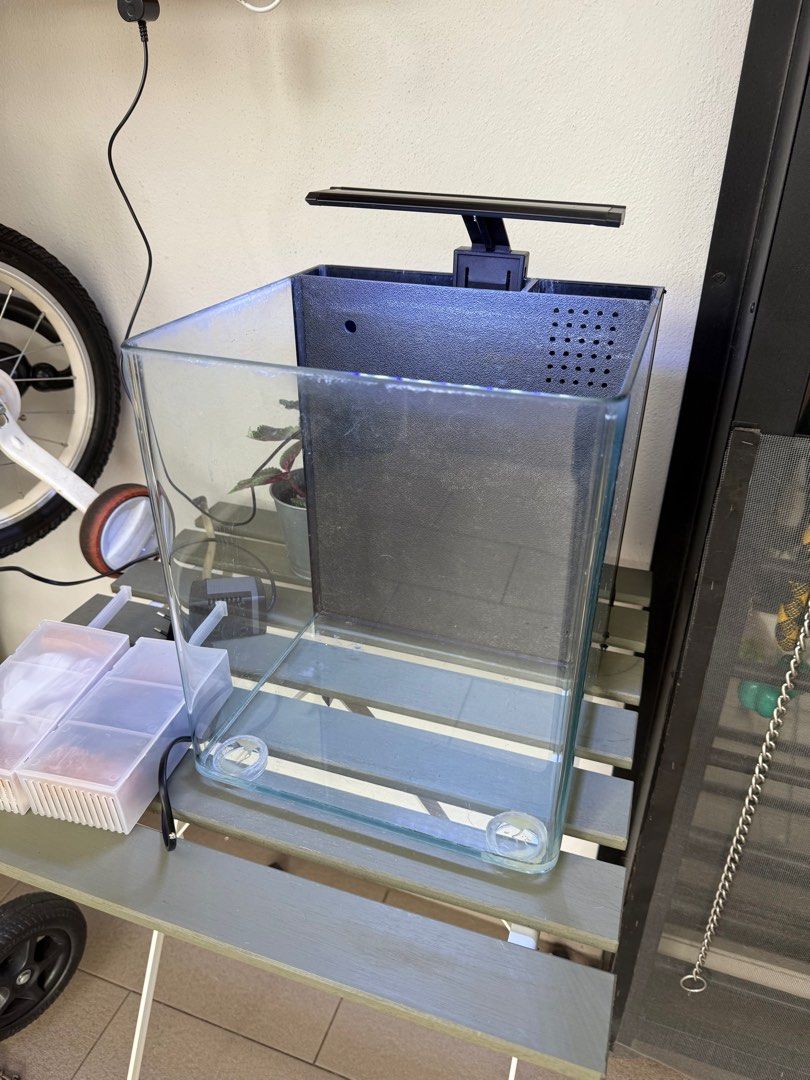 Back Sump Curve Aquarium, Pet Supplies, Homes & Other Pet Accessories ...