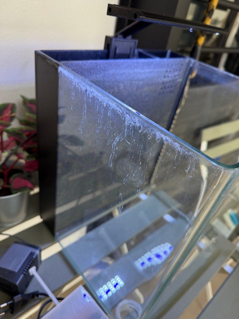 Back Sump Curve Aquarium, Pet Supplies, Homes & Other Pet Accessories ...