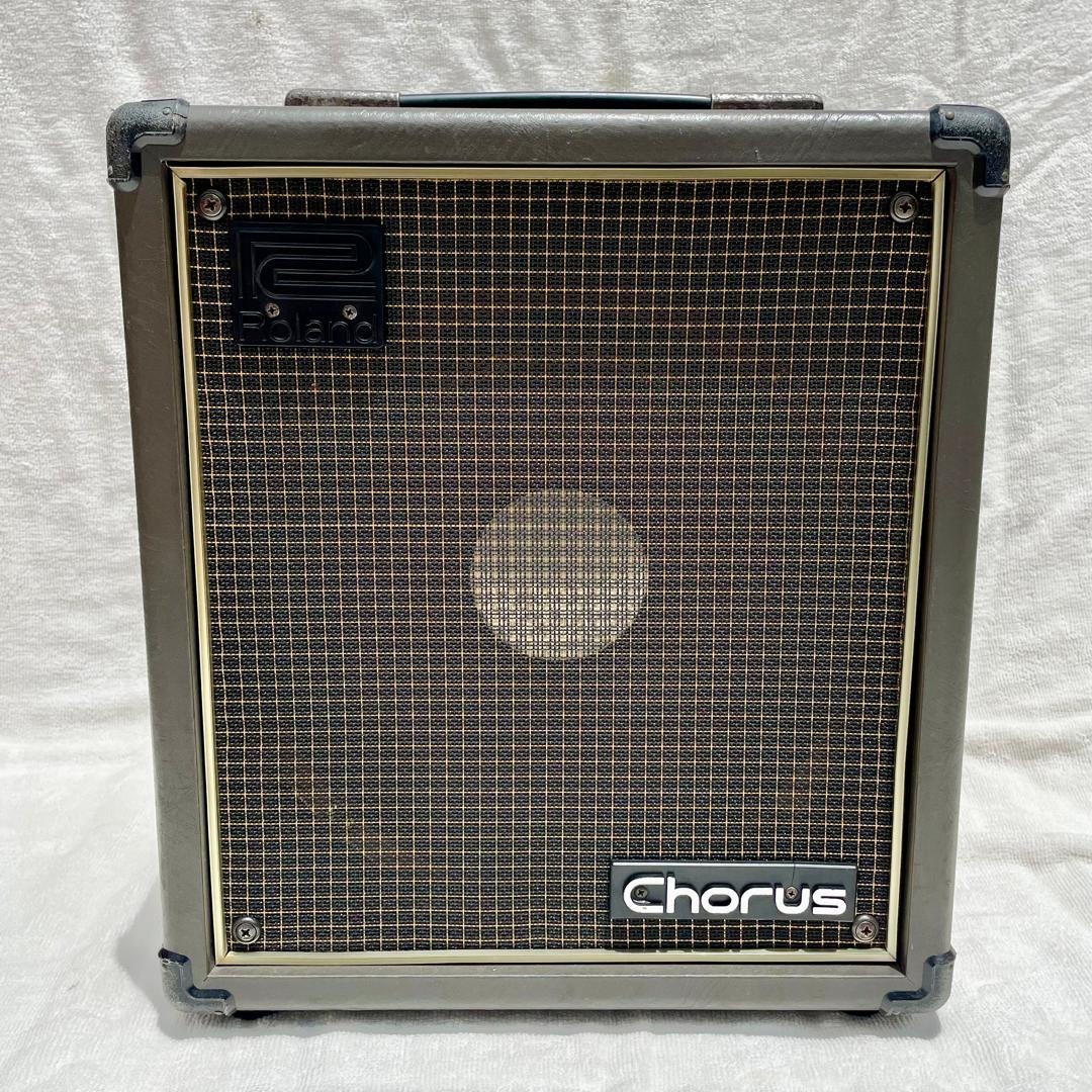 🇯🇵 1984 ROLAND 1x10 DIY SPEAKER CABINET 🇯🇵 (PLEASE READ), Hobbies ...