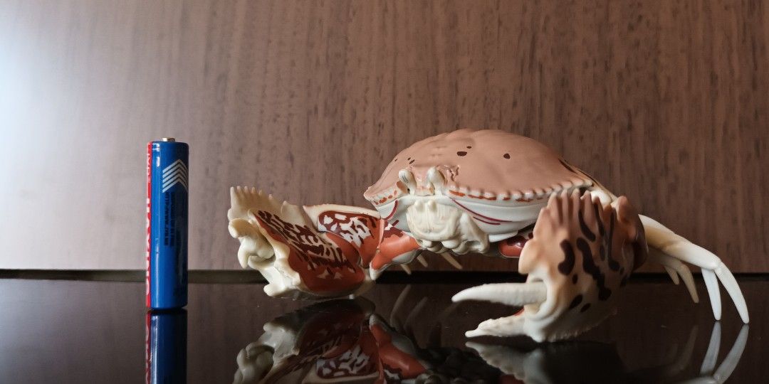 Dangon Mushi Box Crab Figure, Hobbies & Toys, Toys & Games on Carousell