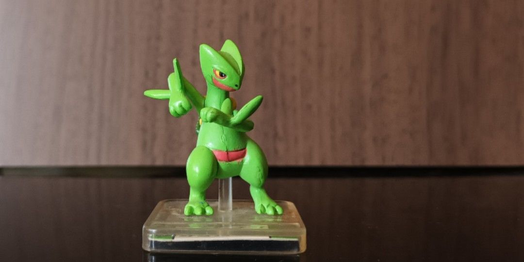 Pokemon Sceptile Pokedex Figure, Hobbies & Toys, Toys & Games on Carousell