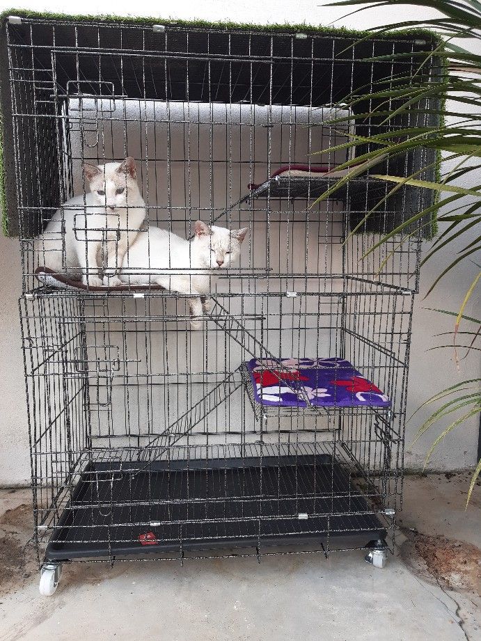 Readystock XL Cat Cage 3tiers 3 layer cat cage, wrought iron Foldable ...
