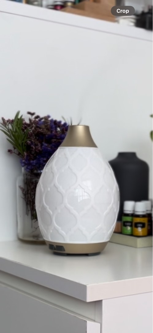 Young Living Desert Mist Diffuser, Furniture & Home Living, Home ...