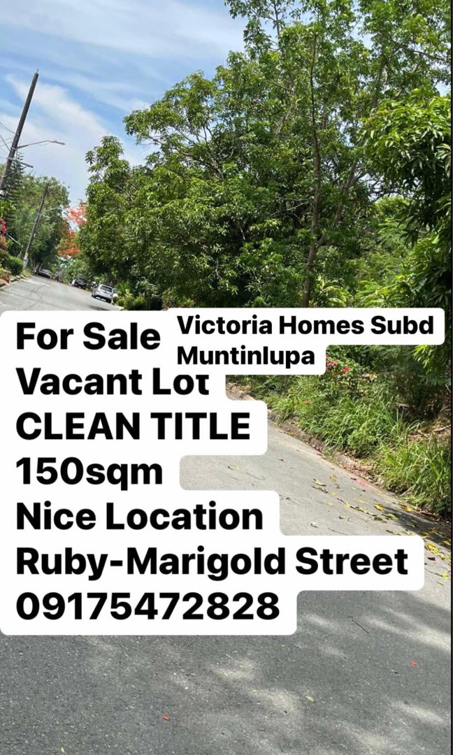 Clean Title Victoria Homes 150sqm, Property, For Sale, Lot on Carousell