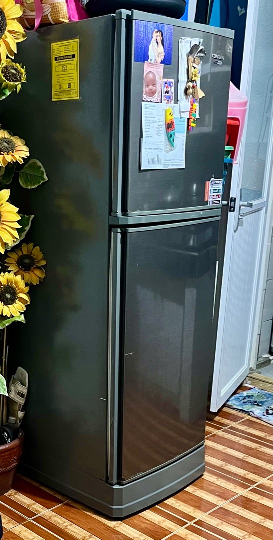 CONDURA 2-DOOR NEGOSYO INVERTER REF, TV & Home Appliances, Kitchen ...