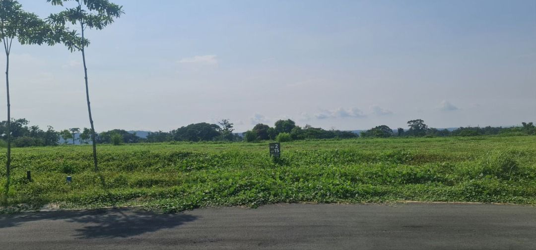 Cerilo Nuvali High Elevation Single Loaded Residential Lot Ayala Land ...