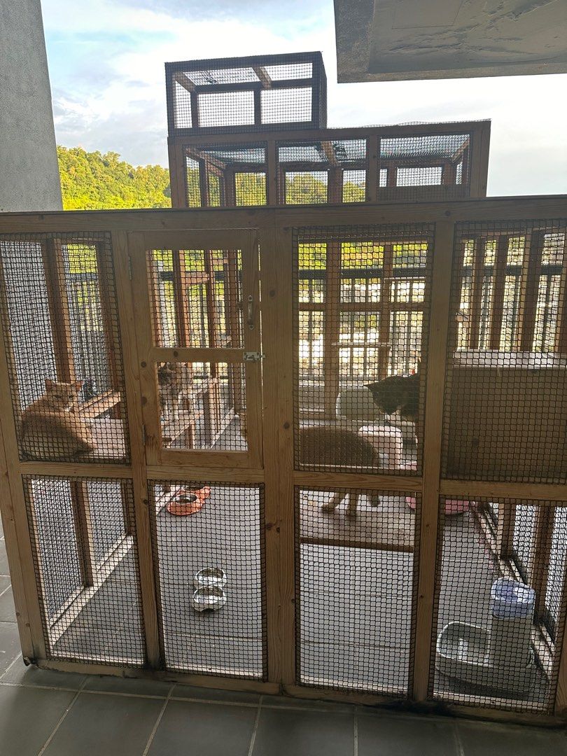 Custom Cat Villa, Pet Supplies, Homes & Other Pet Accessories on Carousell