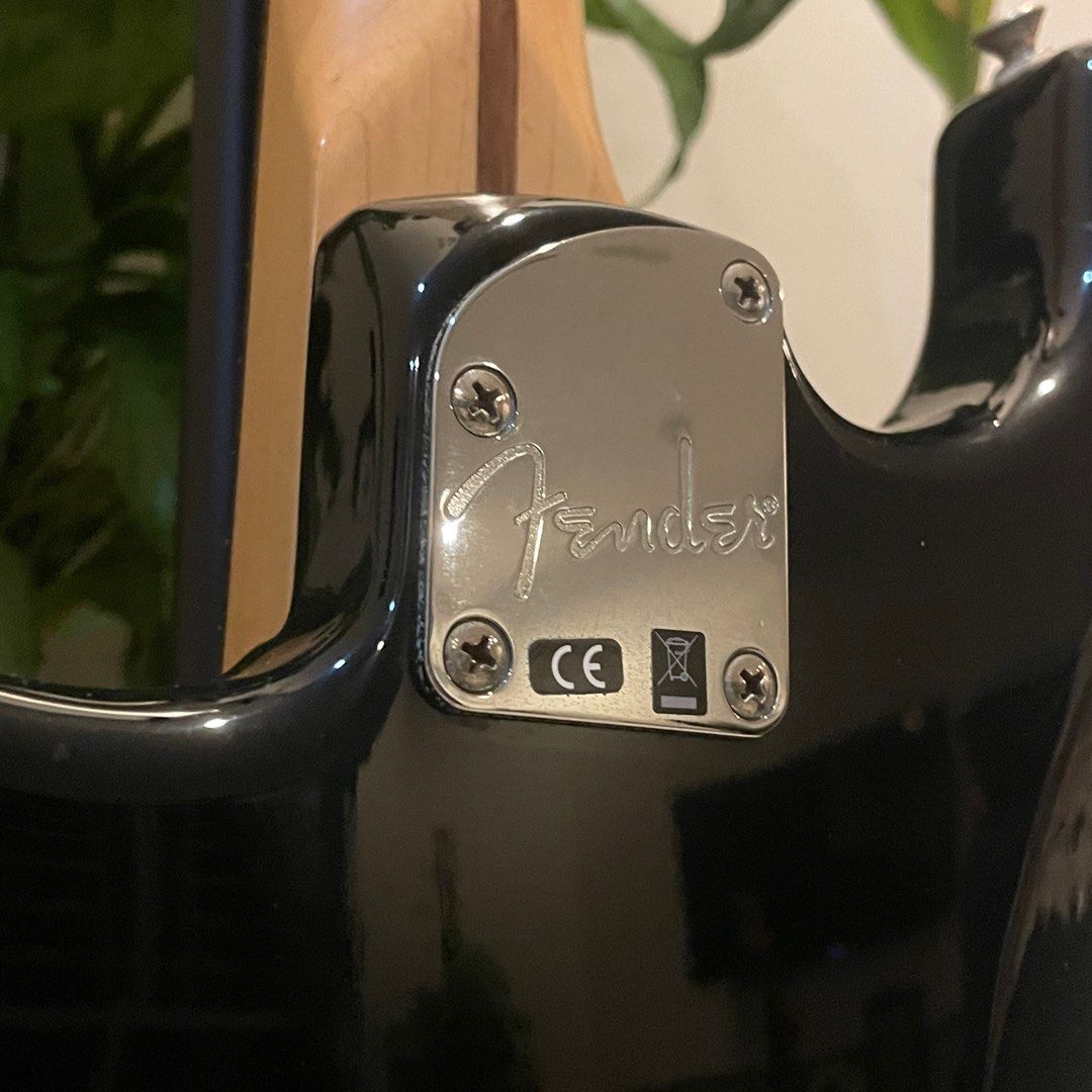 Fender deluxe player plus David Gilmour stratocaster with noiseless ...