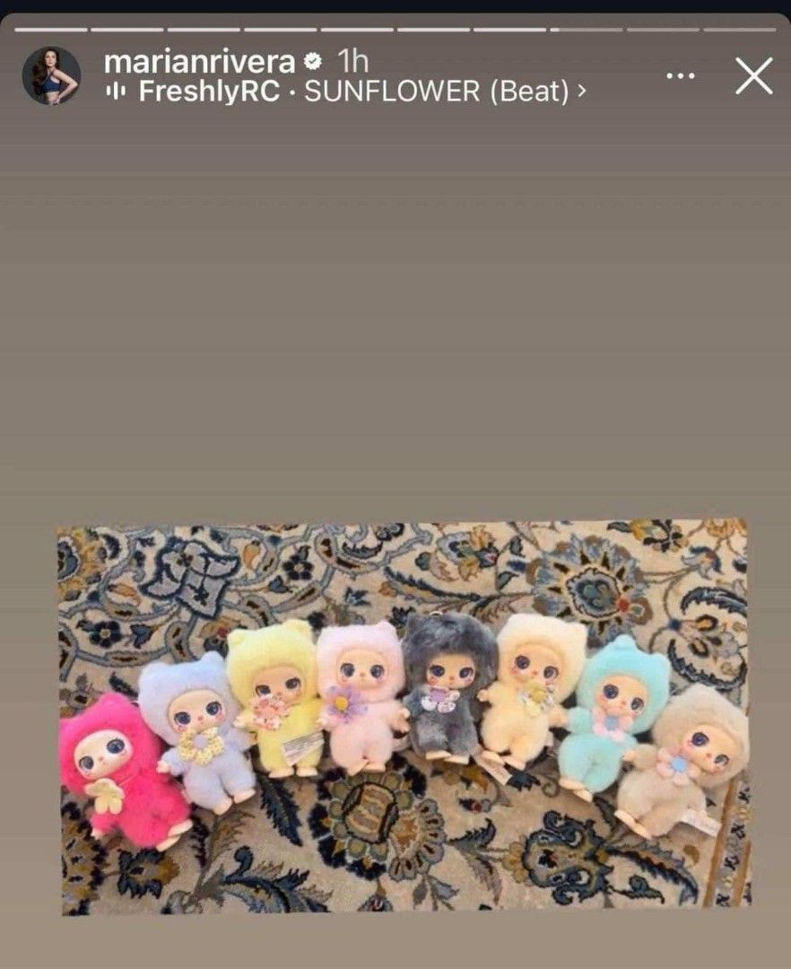 LABUBU / LIILAS ZOO / DELICIOUS, Everything Else, Others on Carousell