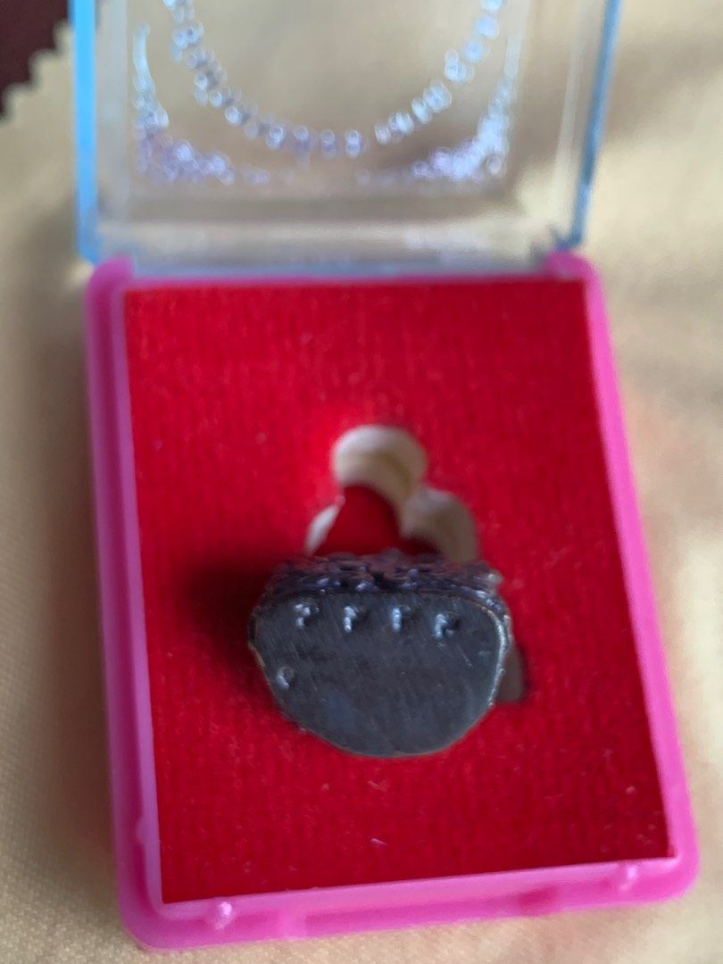 Luang Phu Hok. Lp Hock. Phra Sangkachai Mahalap Udomsap edition. Amulet ...